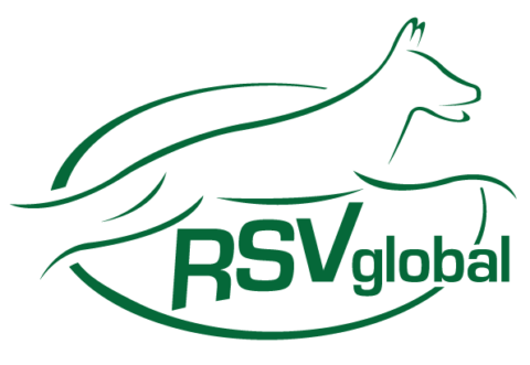 Veranstaltungen - RSV2000