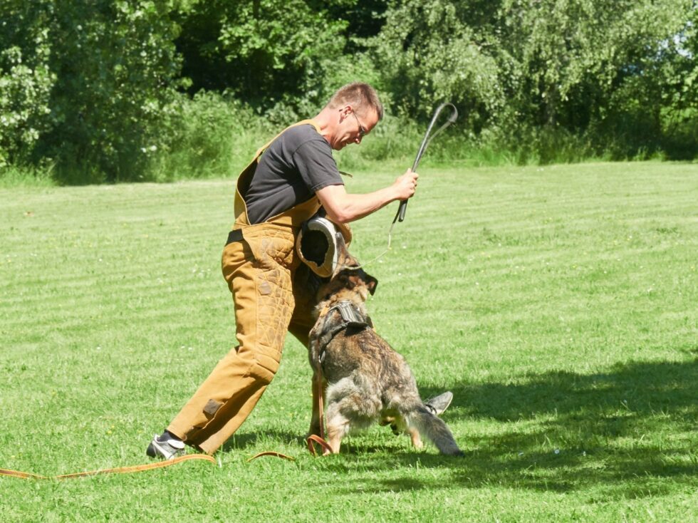 Helferworkshop mit Dr. Helmut Raiser, RSV2000 Emmerthal - RSV2000